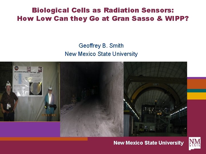 Biological Cells as Radiation Sensors How Low Can