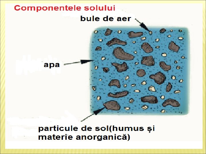 NVELIURILE PM NTULUI EROZIUNEA SOLULUI SOLUL caractere generale