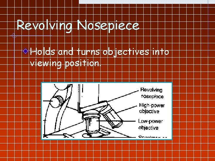 Laboratory 1 Light Microscope Eyepiece Contains a magnifying