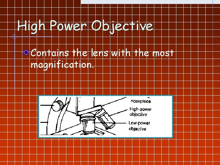 Laboratory 1 Light Microscope Eyepiece Contains a magnifying