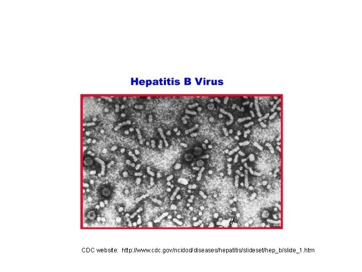 Hepatitis B virus Acknowledgment Addis Ababa University Jimma