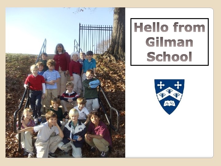 Our Environment 2 B Gilman School Mrs Olgeirson