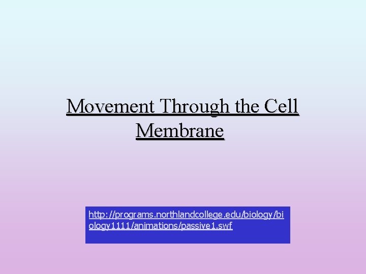 Movement Through the Cell Membrane http programs northlandcollege