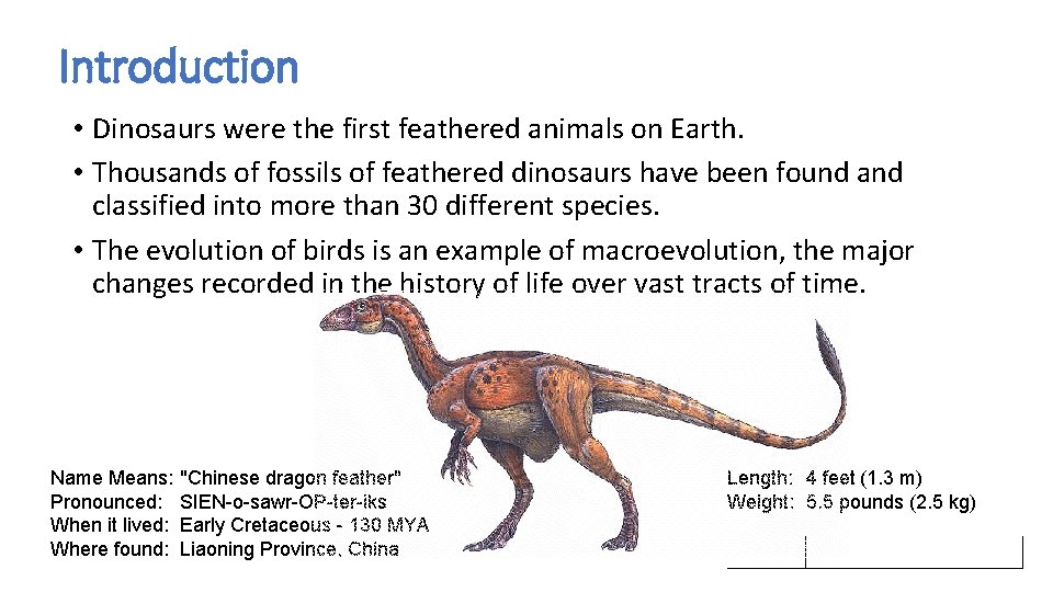Chapter 15 Tracing Evolutionary History Introduction Bird feathers
