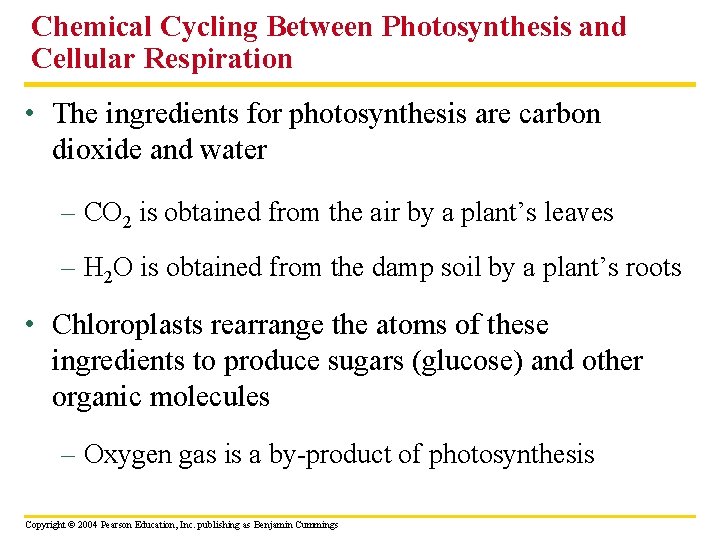 Cellular Respiration Harvesting Chemical Energy Power Point Lecture
