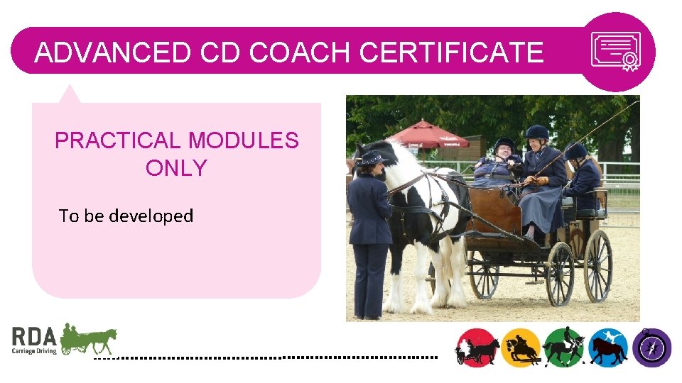 COACHING QUALIFICATIONS PATHWAY RDA CARRIAGE DRIVING COACHING PATHWAY