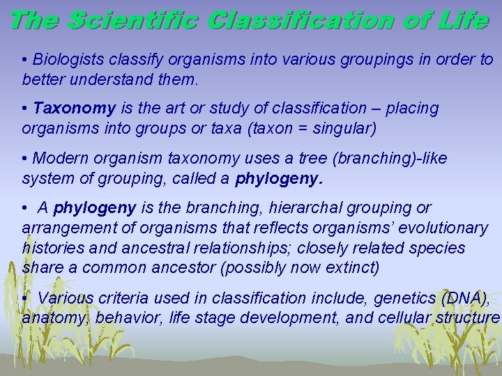 Marine Life Classification and Evolution Big Concepts Classification