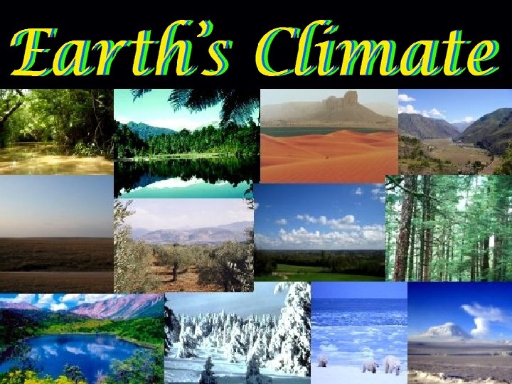 environment physical conditions of the natural surroundings weather
