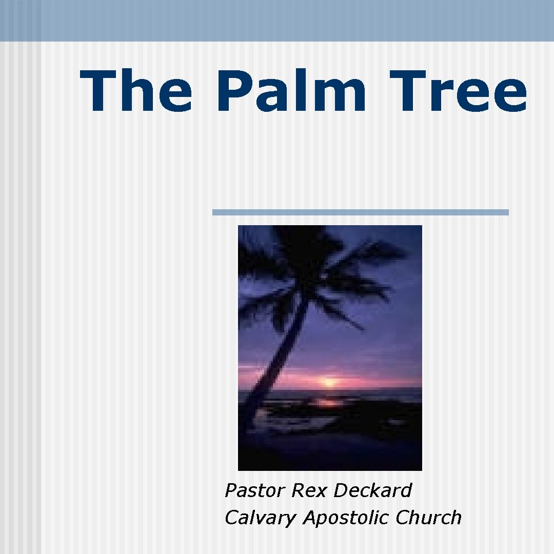 The Palm Tree Pastor Rex Deckard Calvary Apostolic