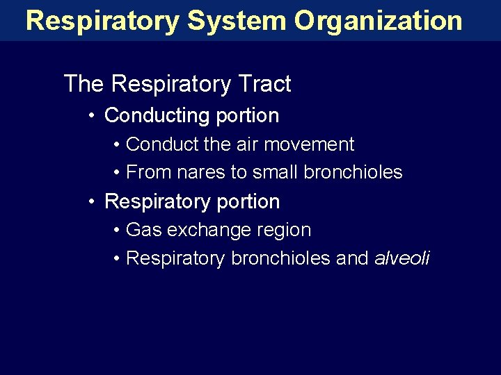 Respiratory System Functions of Respiratory System Gas exchange