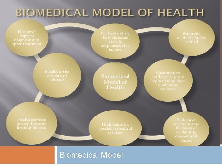 VIEWS ON HEALTH Models Health Experts Biomedical Model