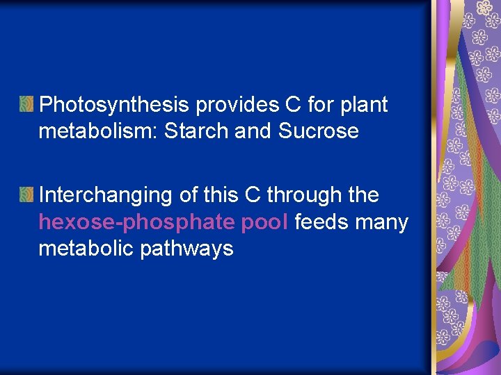 Cellular Respiration Photosynthesis provides C for plant metabolism