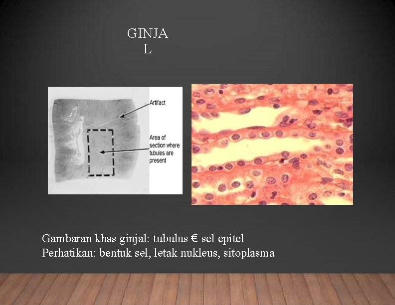 PEMBUATAN SEDIAAN AWETAN HISTOLOGI MIKROTEKNIK BAGIAN HISTOLOGI PSPD
