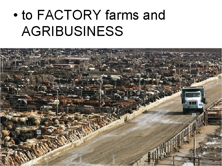 Agriculture Problems and Solutions The Industrialization of Farming