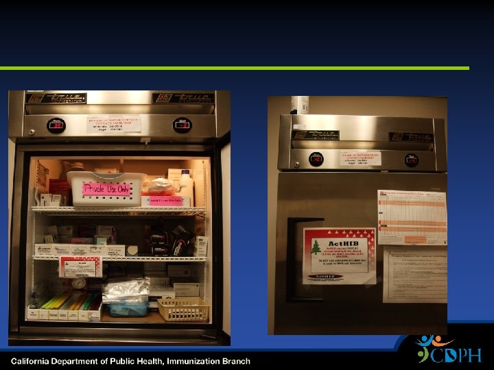 Northern Calif Junior Field Representative Laurie Crowe Email