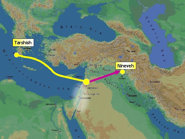 God said Go Jonah said No 1 1