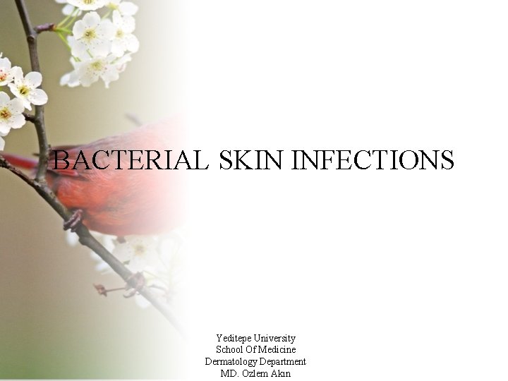 BACTERIAL SKIN INFECTIONS Yeditepe University School Of Medicine