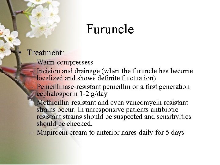 BACTERIAL SKIN INFECTIONS Yeditepe University School Of Medicine
