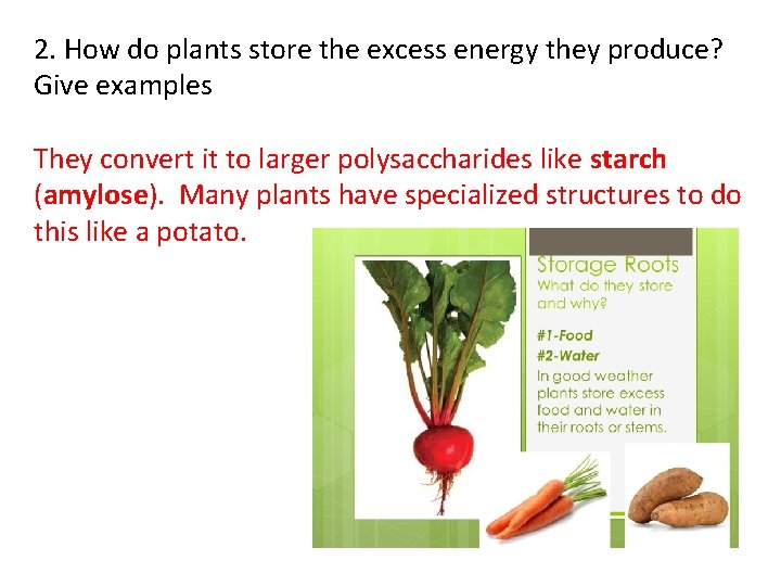 GRADING RUBRIC WKS Photosynthesis and Cellular Respiration Part