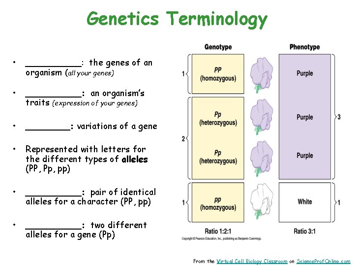 About Science Prof Online Power Point Resources Science