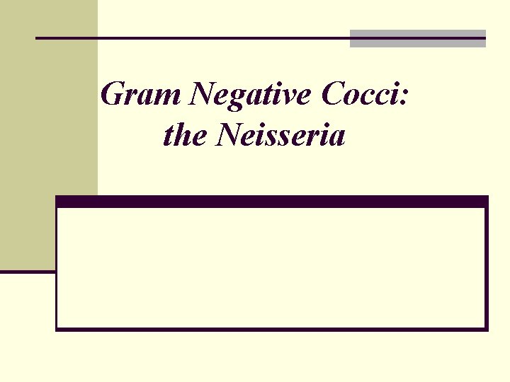 Gram Negative Cocci the Neisseria Introduction n The