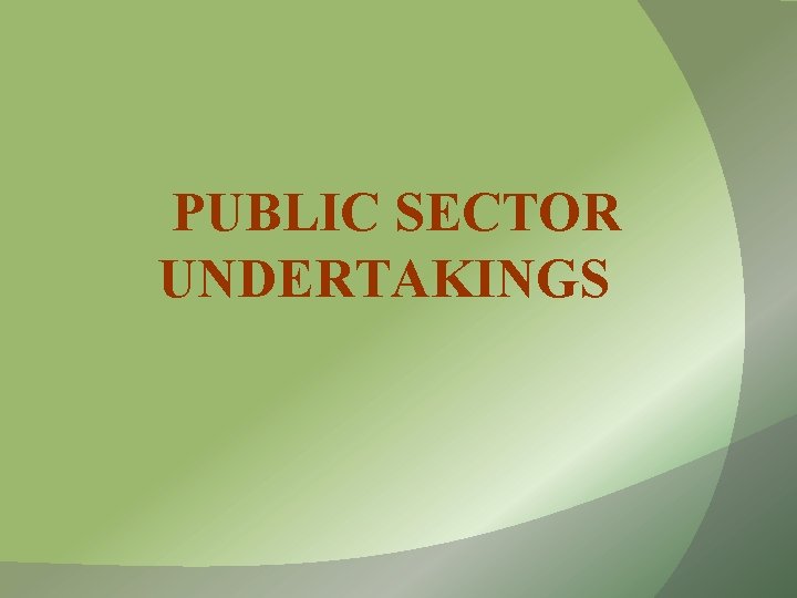 BUSINESS ORGANIZATION PRIVATE SECTOR UNDERTAKINGS PUBLIC SECTOR ...