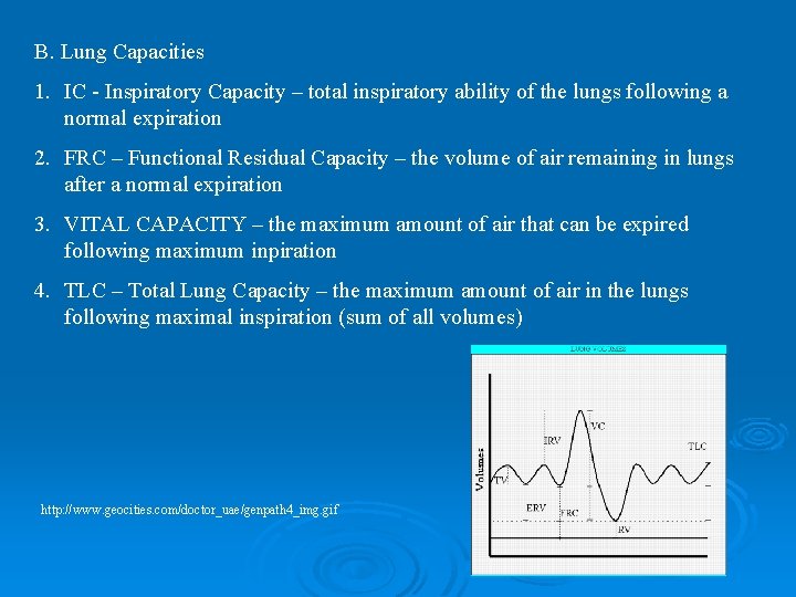 IV Respiratory Physiology A Purpose is to supply