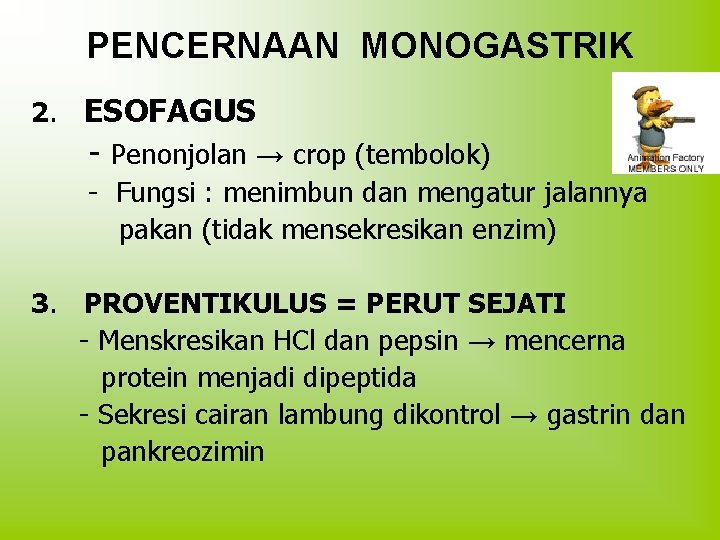 ANATOMI FISIOLOGI PENCERNAAN MONOGASTRIK OLEH Prof Dr Ir