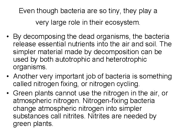Bacteria Comic Strip Project BiologyMs OConnor Quick Review