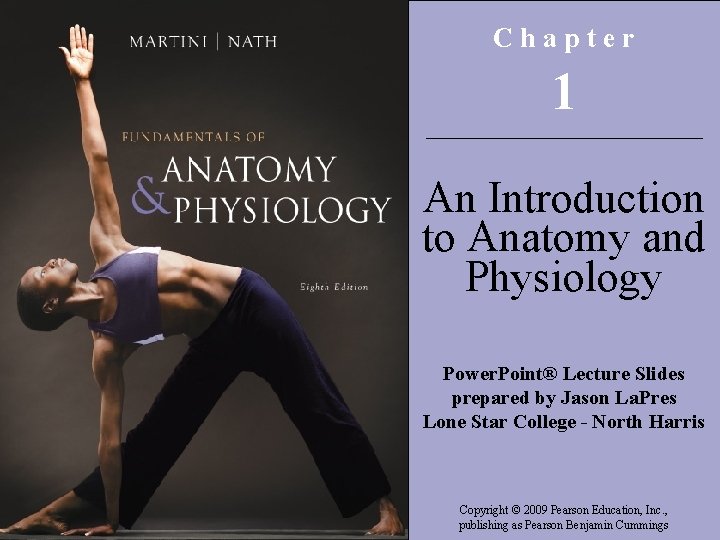 Chapter 1 An Introduction to Anatomy and Physiology
