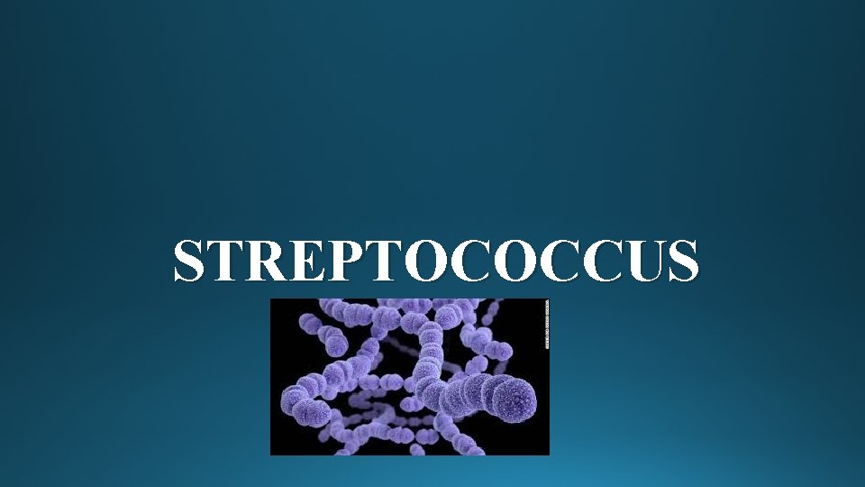 STREPTOCOCCUS Species Lancefield Group Typical Hemolysis Diagnostic ...