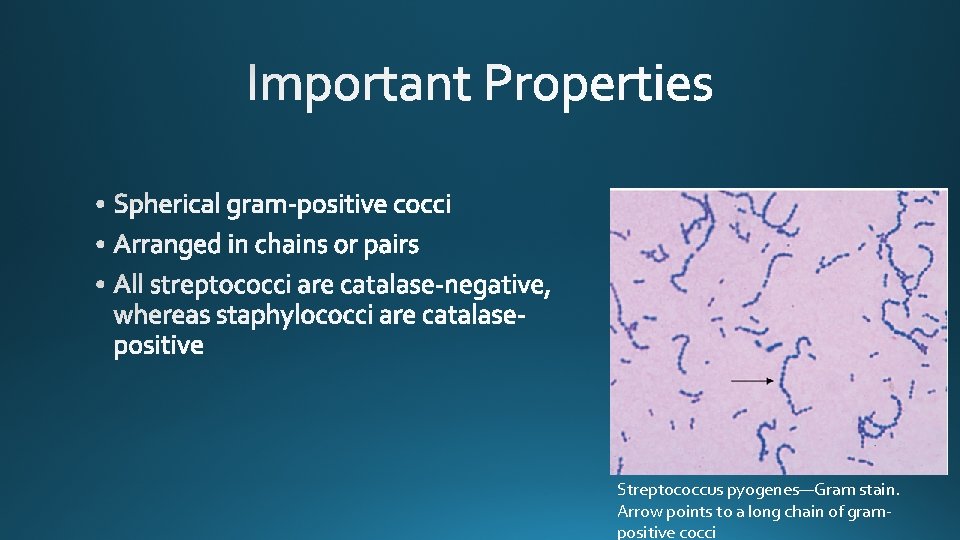 STREPTOCOCCUS Species Lancefield Group Typical Hemolysis Diagnostic ...