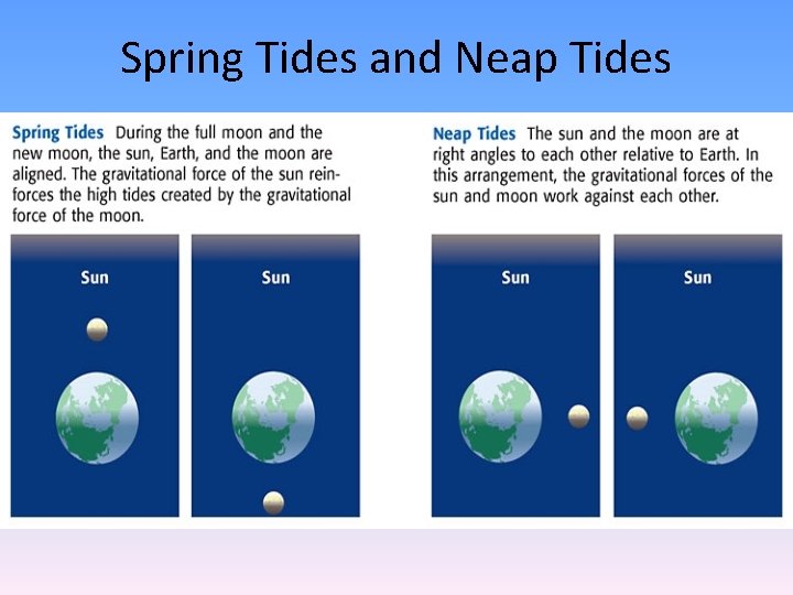 What causes tides Tides are caused by the