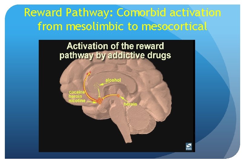Cooccurring Psychiatric and Substance Use Disorders The Concept
