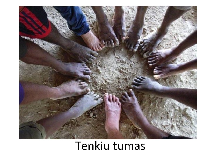 ENVIRONMENTAL SUSTAINABILITY THE CASE OF PAPUA NEW GUINEA