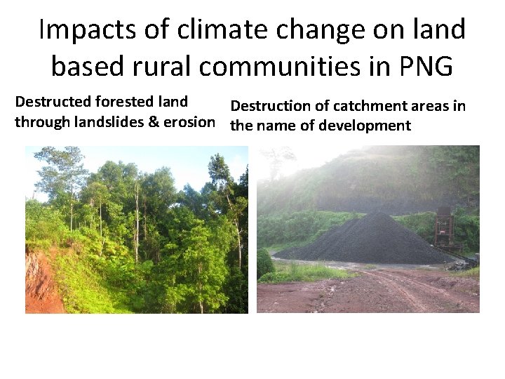 ENVIRONMENTAL SUSTAINABILITY THE CASE OF PAPUA NEW GUINEA