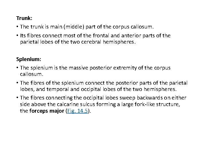 CORPUS CALLOSUM WHITE MATTER Fibres of white matter