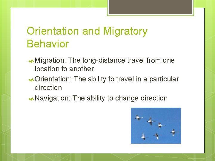 Chapter 43 44 Behavioral and Population Ecology Behavior