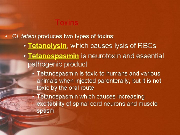 Clostridia Dr Baha Eldin Khalid Elamin Ph D