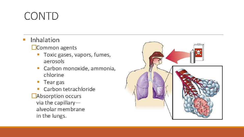 POISONING DORCAS BIO PHYSICIAN ASSISTANT OUTLINE OF PRESENTATION