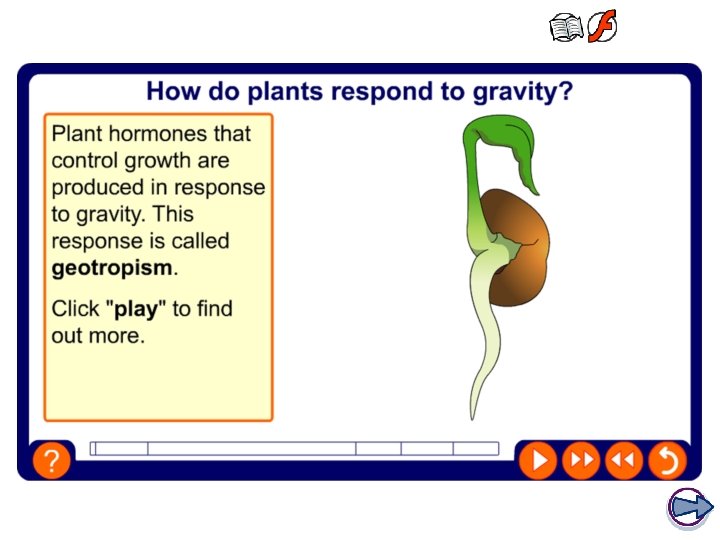Powerpoint 3 Plant responses 16 4 Tropisms Tropisms