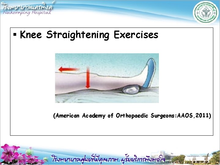 Osteoarthritis knee OA knee Osteoarthritis hip OA hip