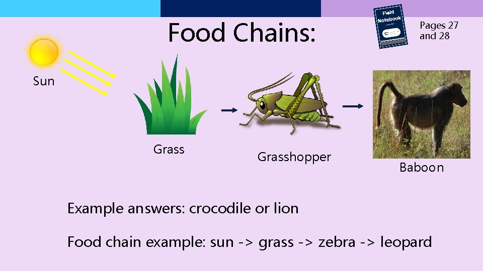 Ecosystems Learning Outcomes Understand the meaning and components