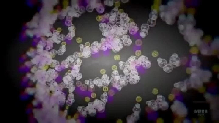 Atoms Isotopes and Bohr What makes up an