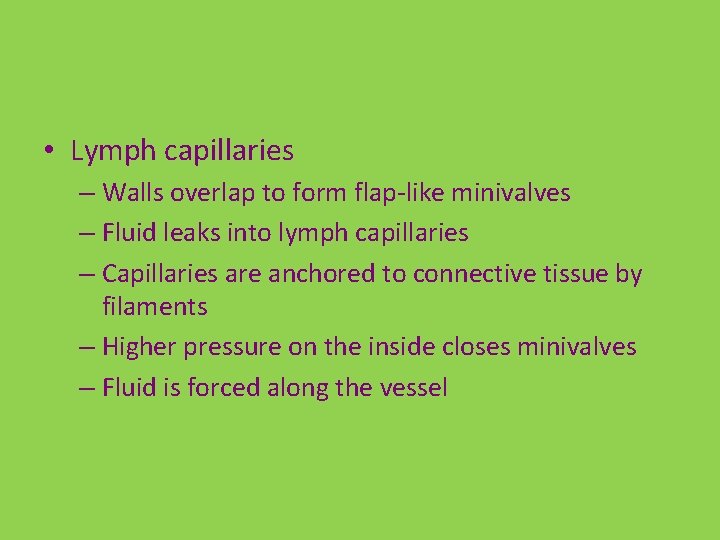 Chapter 12 The Lymphatic System Functions Transports escaped