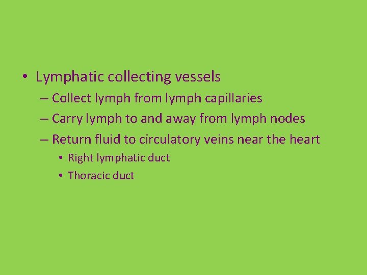 Chapter 12 The Lymphatic System Functions Transports escaped