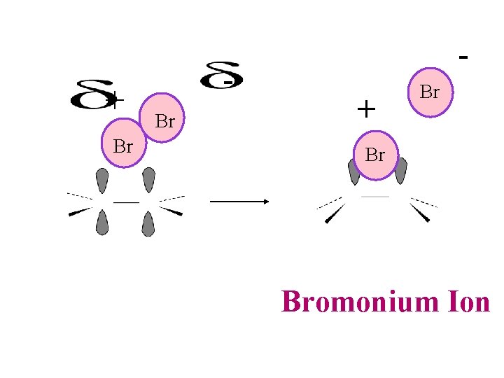 Dehydration of Alcohols Elimination Reactions Y CC X