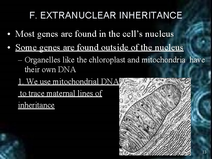 NONMENDELIAN INHERITANCE Chapter 7 1 I Mendelian inheritance