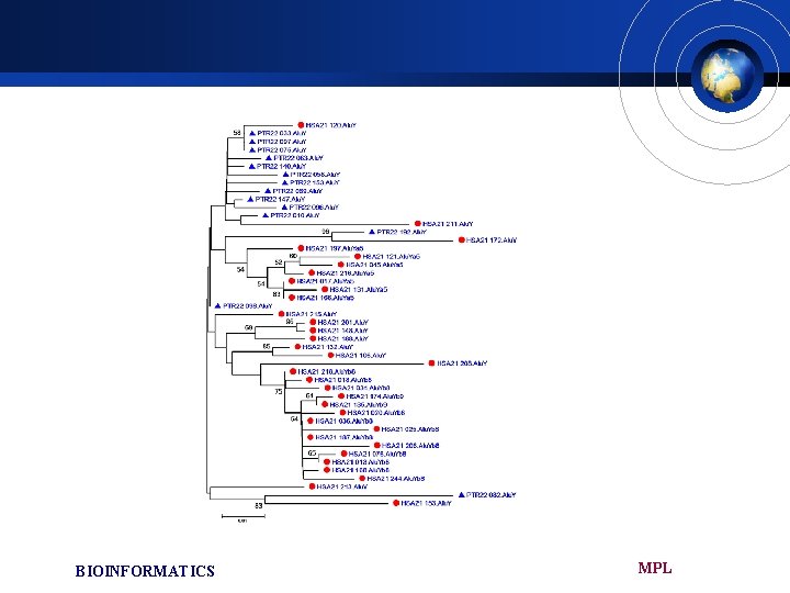 The DNA Sequence of chimpanzee chromosome 22 and