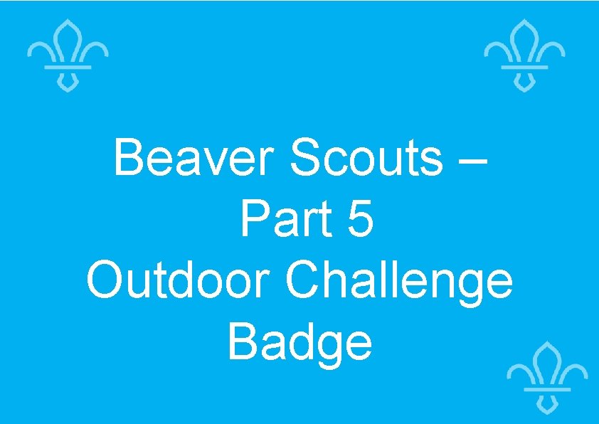 Beaver Scouts Part 5 Outdoor Challenge Badge Requirements